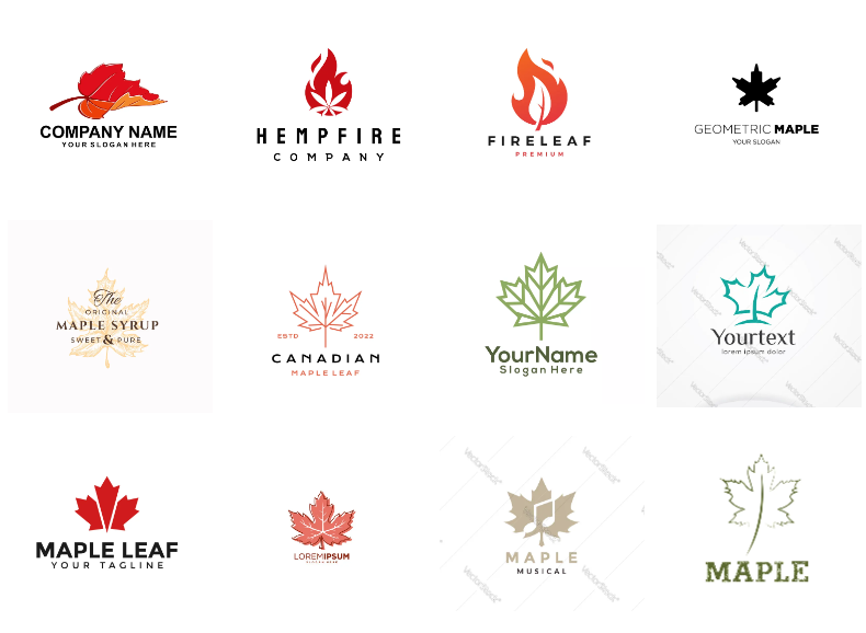 268++ Mẫu thiết kế logo Lá cây đẹp (cập nhật 2024)